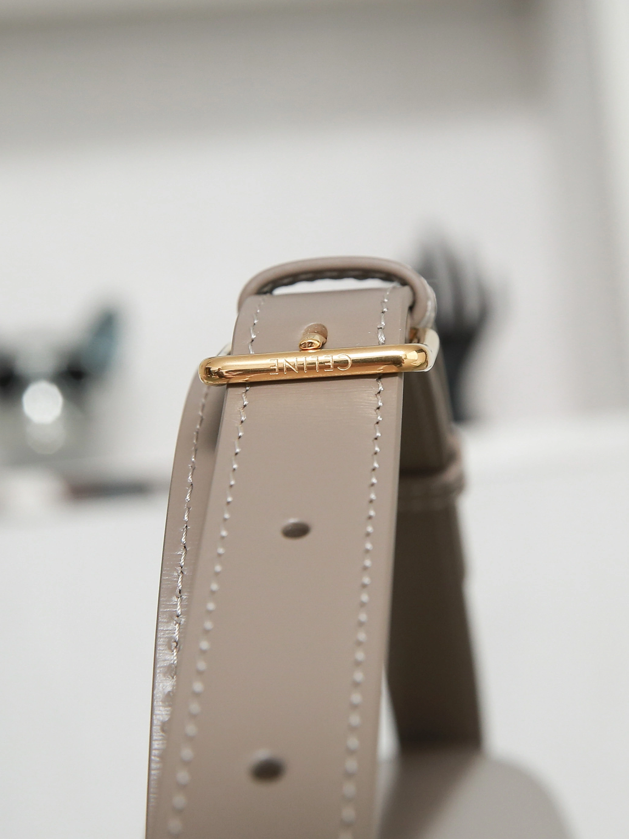 Indistinguishable Celine Triomphe Bags