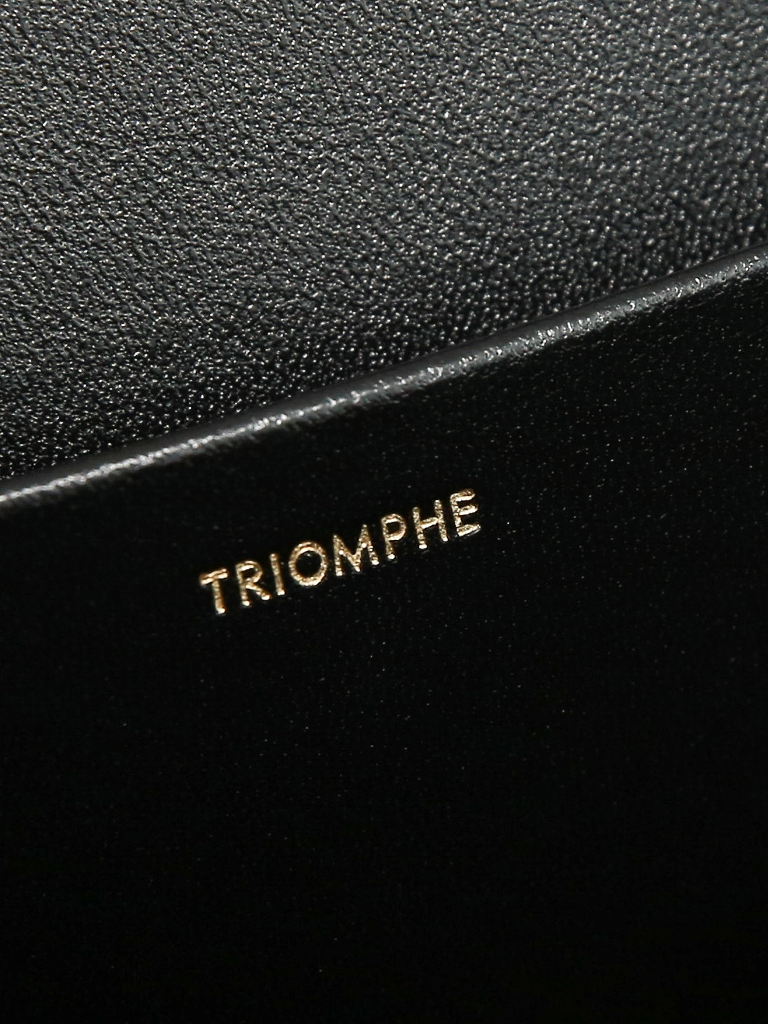 High accuracy Celine Triomphe Bags