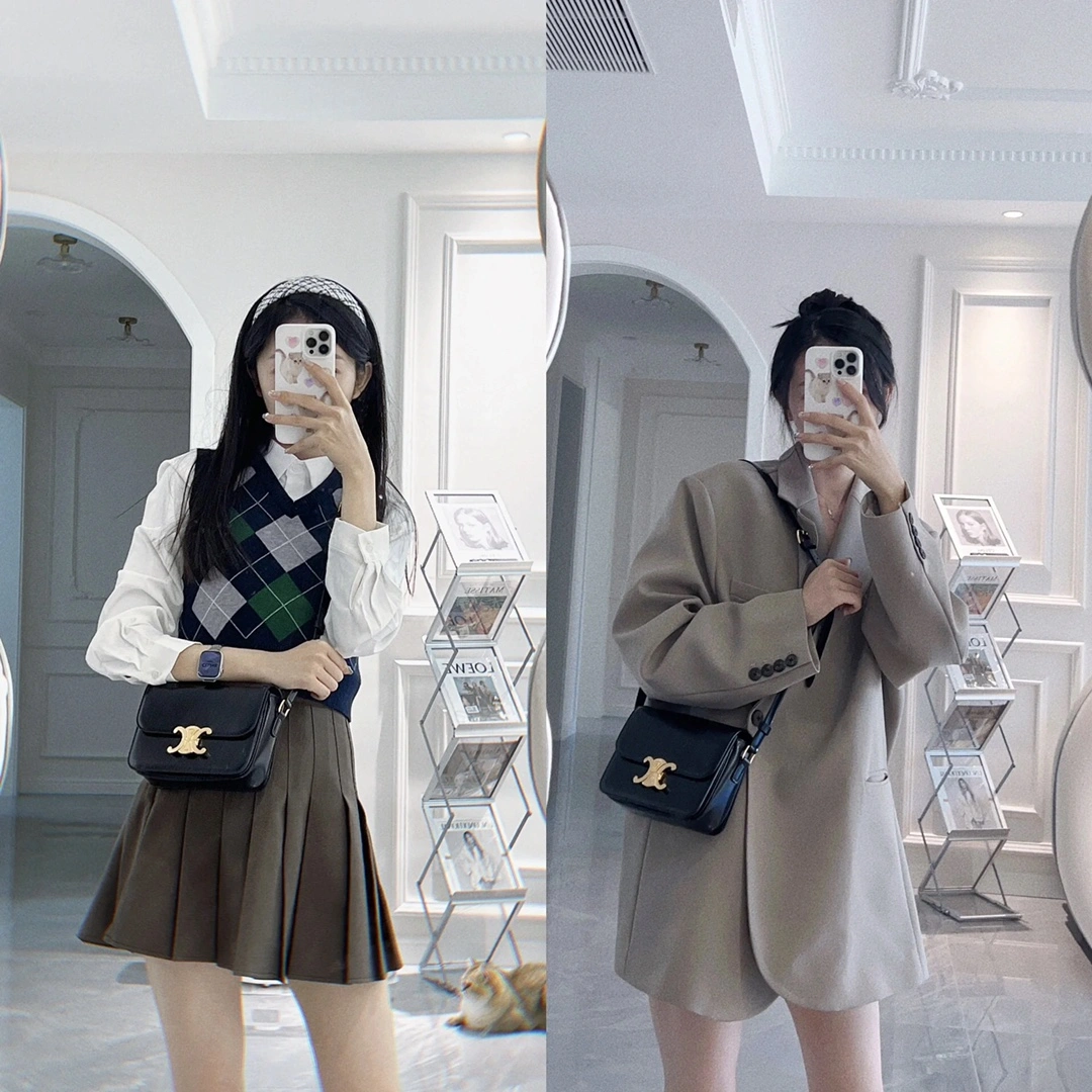 High accuracy Celine Triomphe Bags