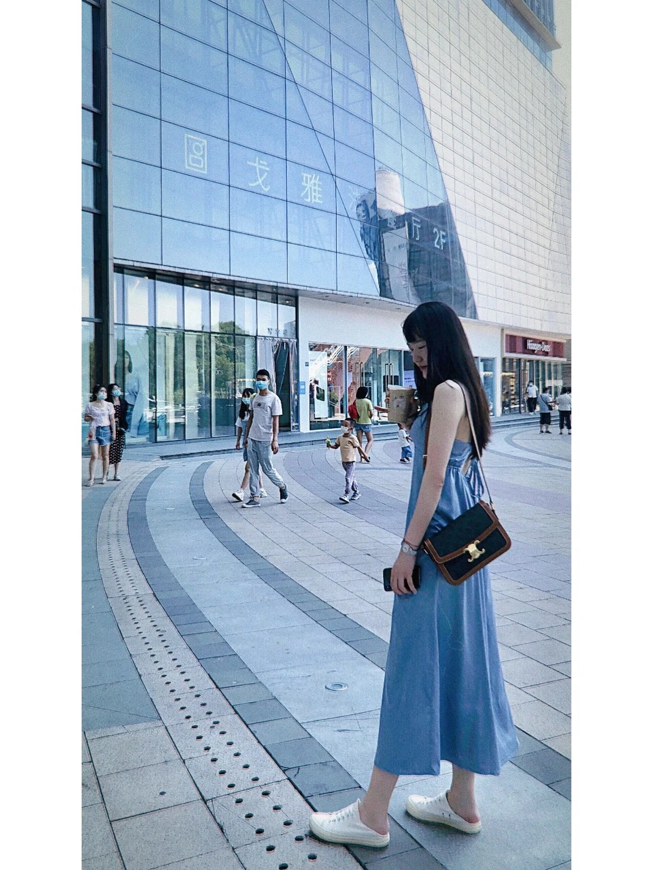Brand-original Celine Triomphe Bags
