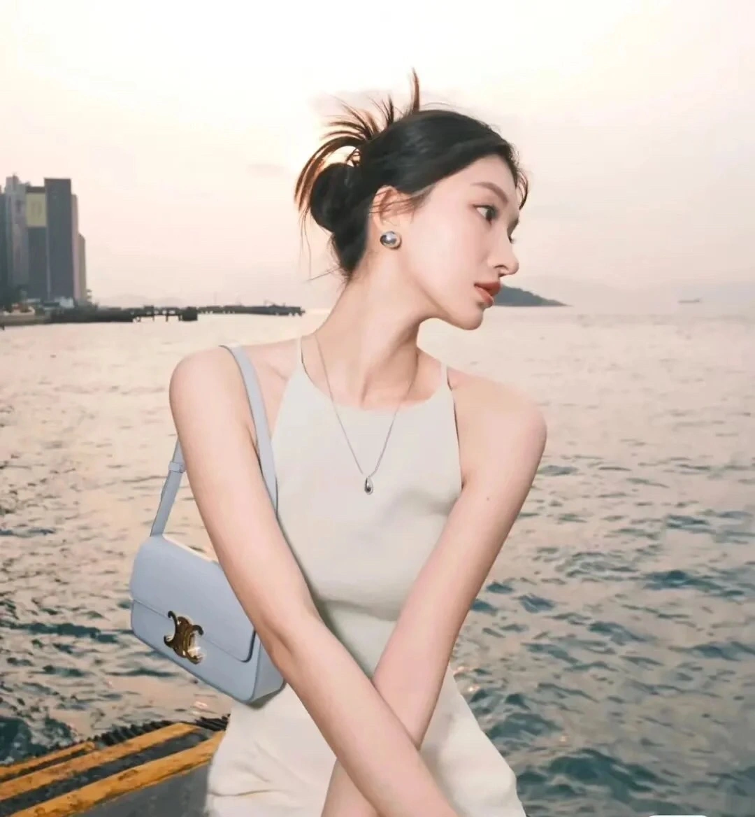 Accurate model Celine Triomphe Bags