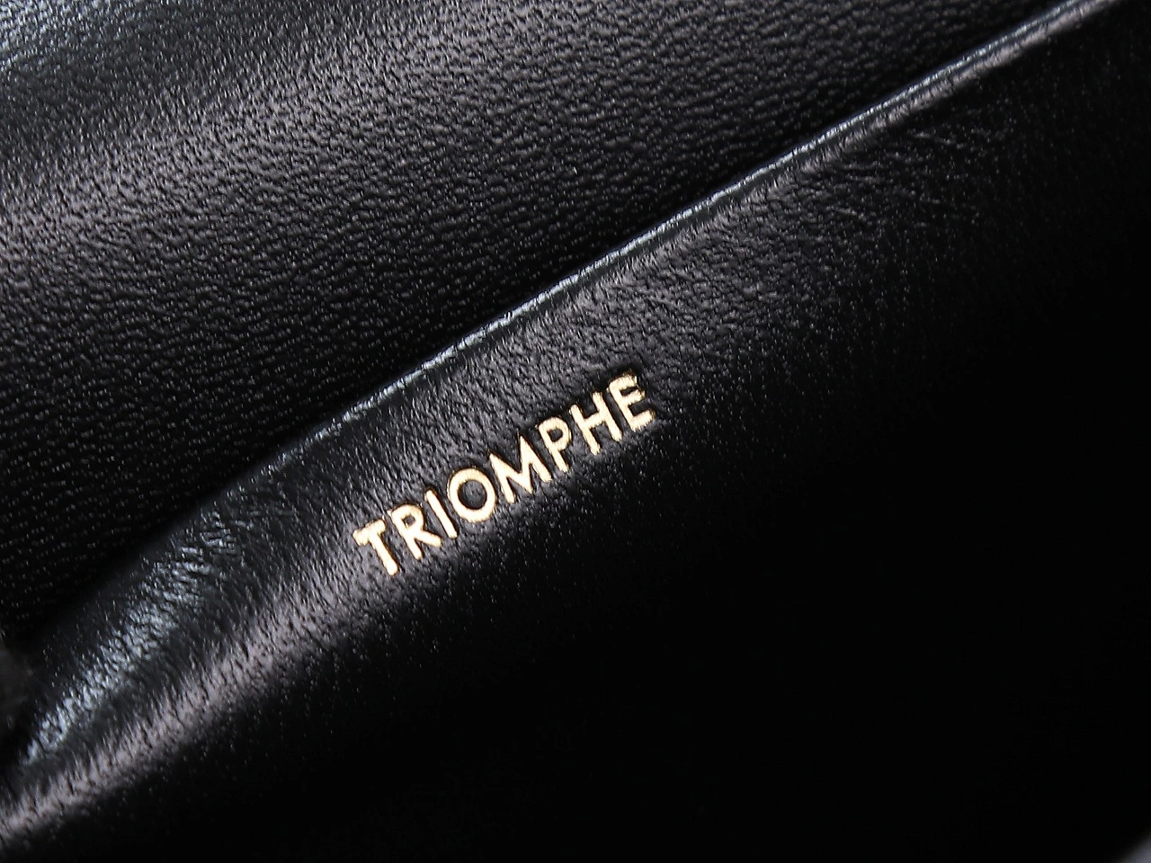 Original Celine Triomphe Bags