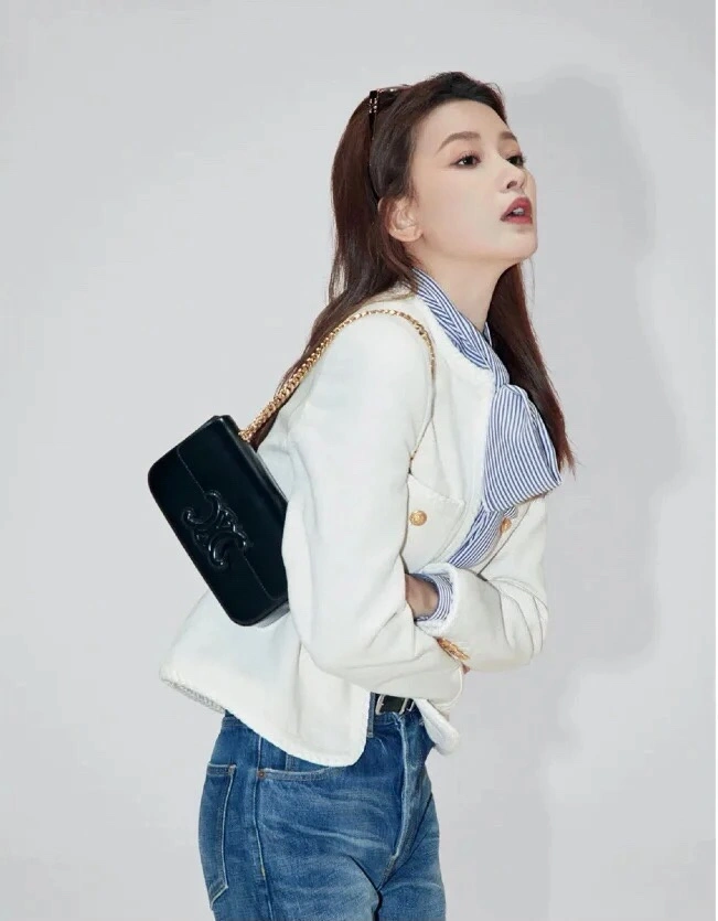 Original Celine Triomphe Bags
