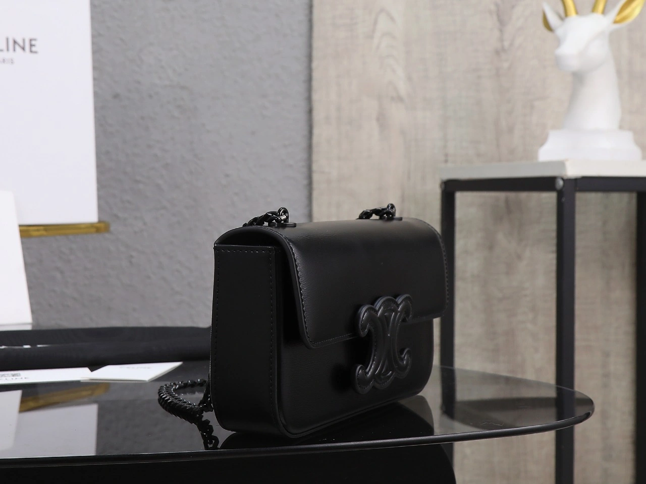 Inexpensive Celine Triomphe Bags