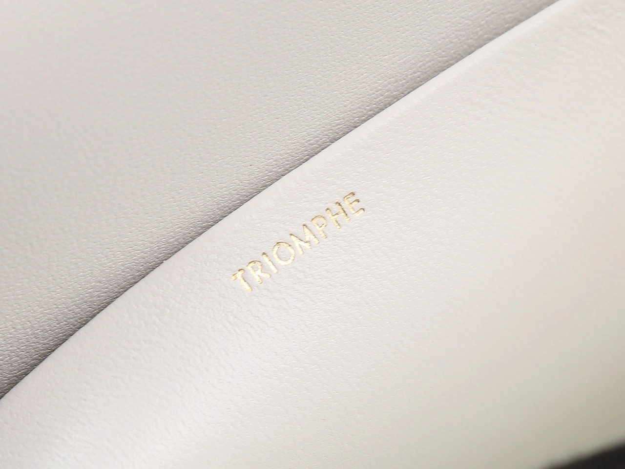 Inexpensive Celine Triomphe Bags