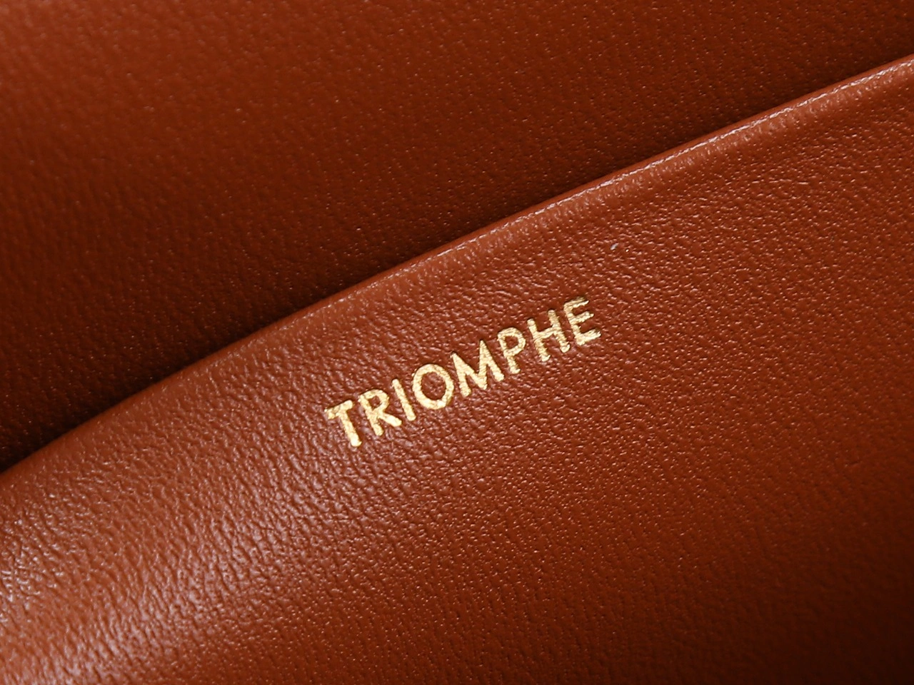 Affordable Celine Triomphe Bags