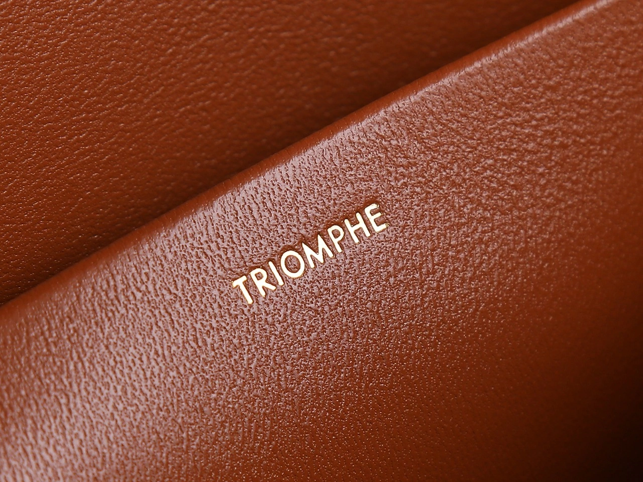 High fidelity Celine Triomphe Bags