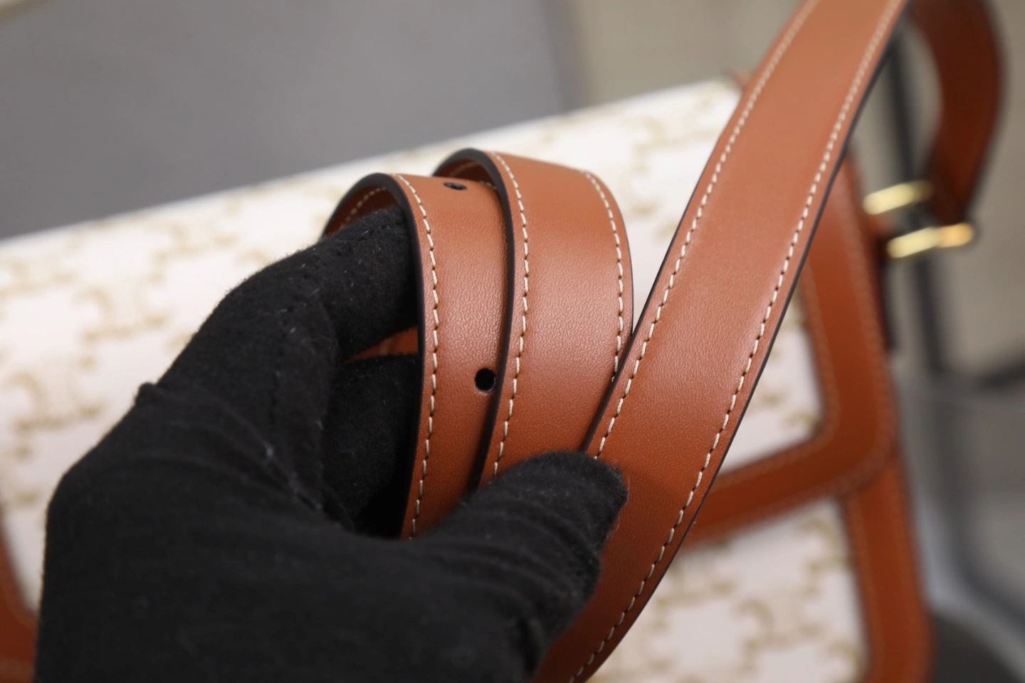High fidelity Celine Triomphe Bags