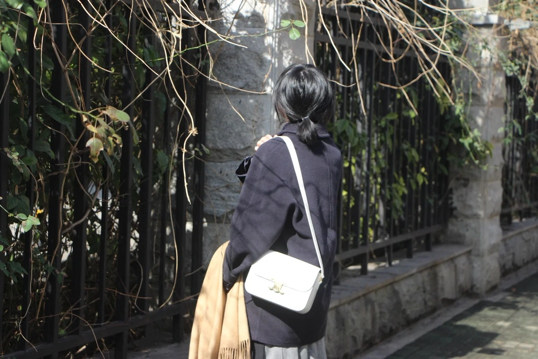 Accurate model Celine Triomphe Bags