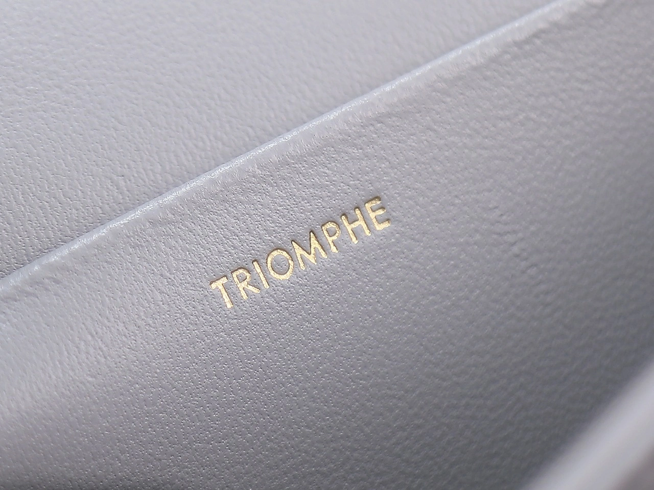 Reasonably priced Celine Triomphe Bags