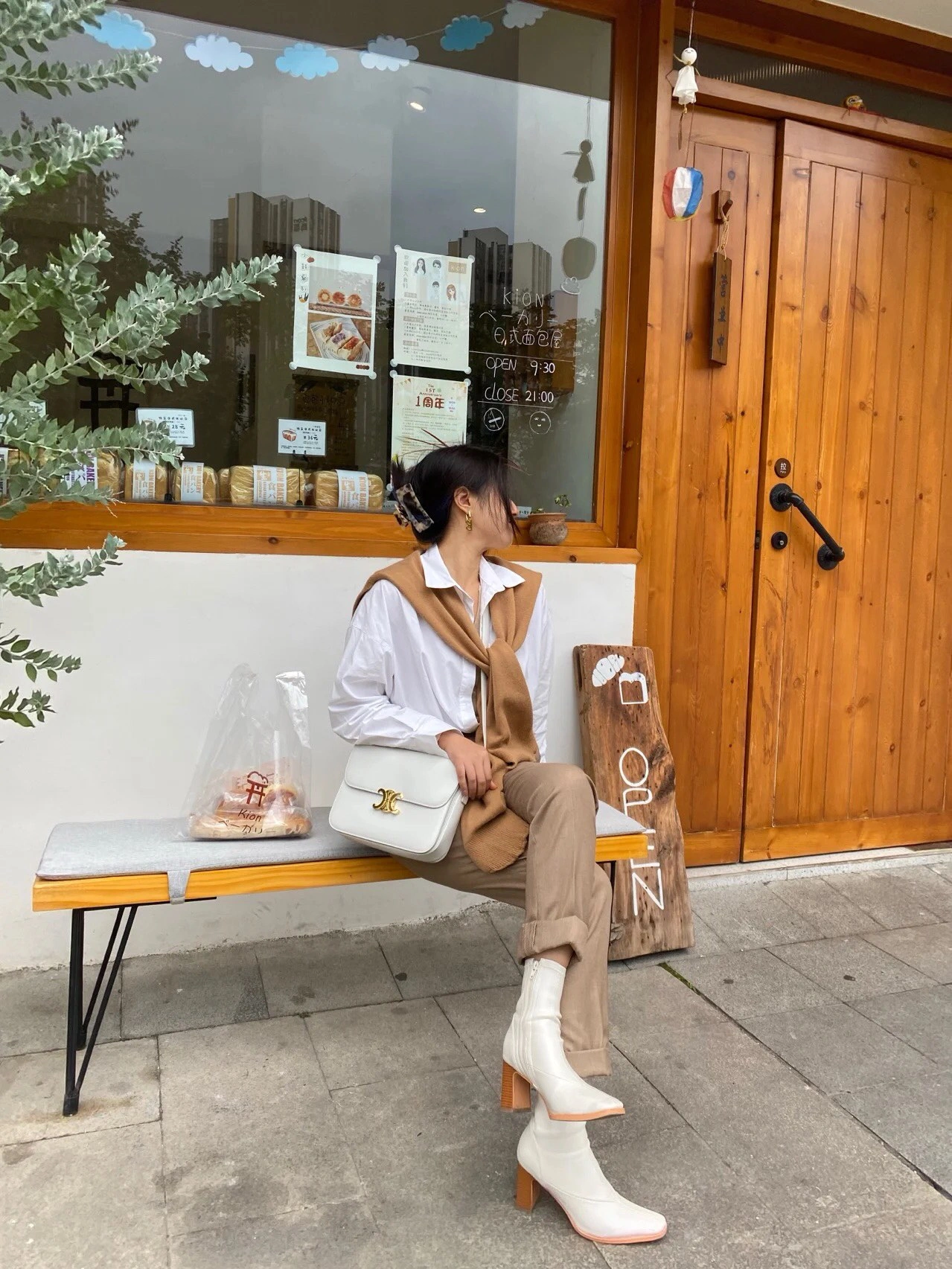 Reasonably priced Celine Triomphe Bags