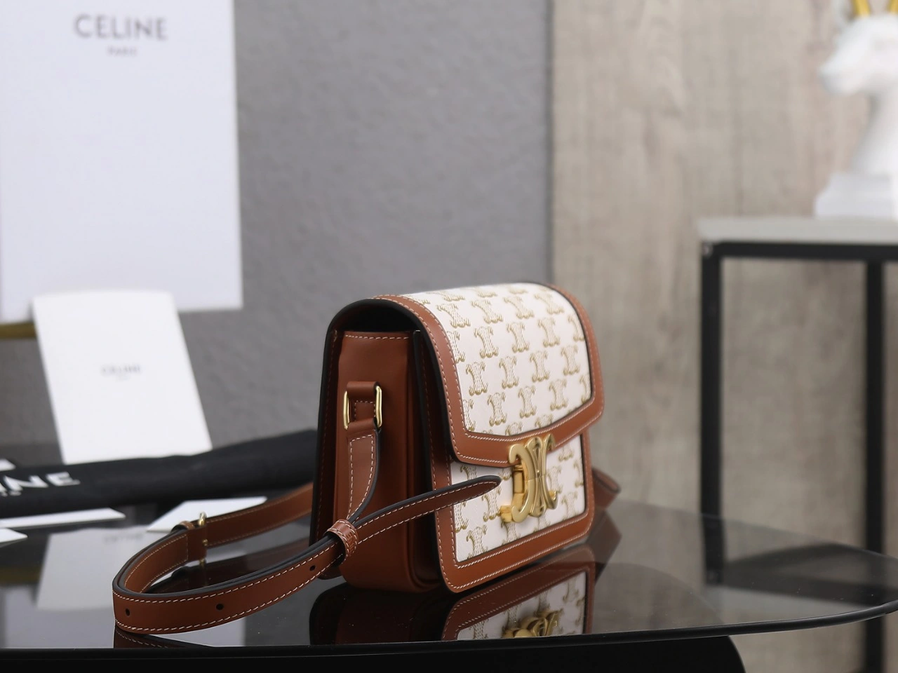 Value-priced Celine Triomphe Bags