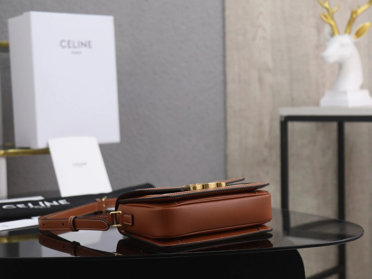 Value-priced Celine Triomphe Bags