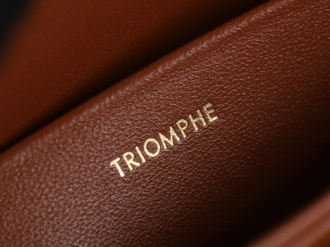 Value-priced Celine Triomphe Bags