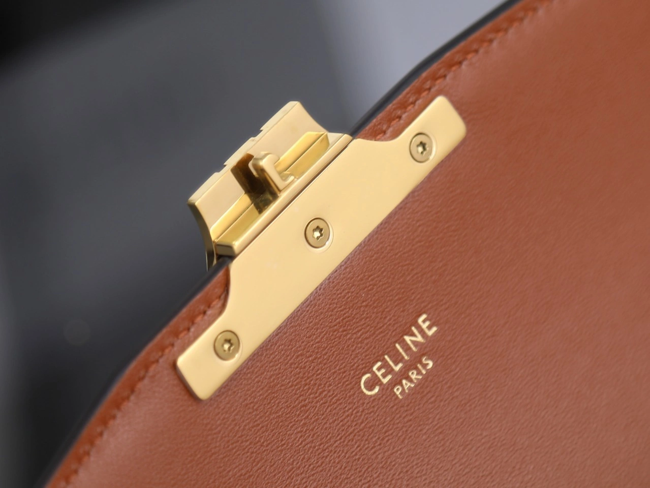 Top match Celine Triomphe Bags