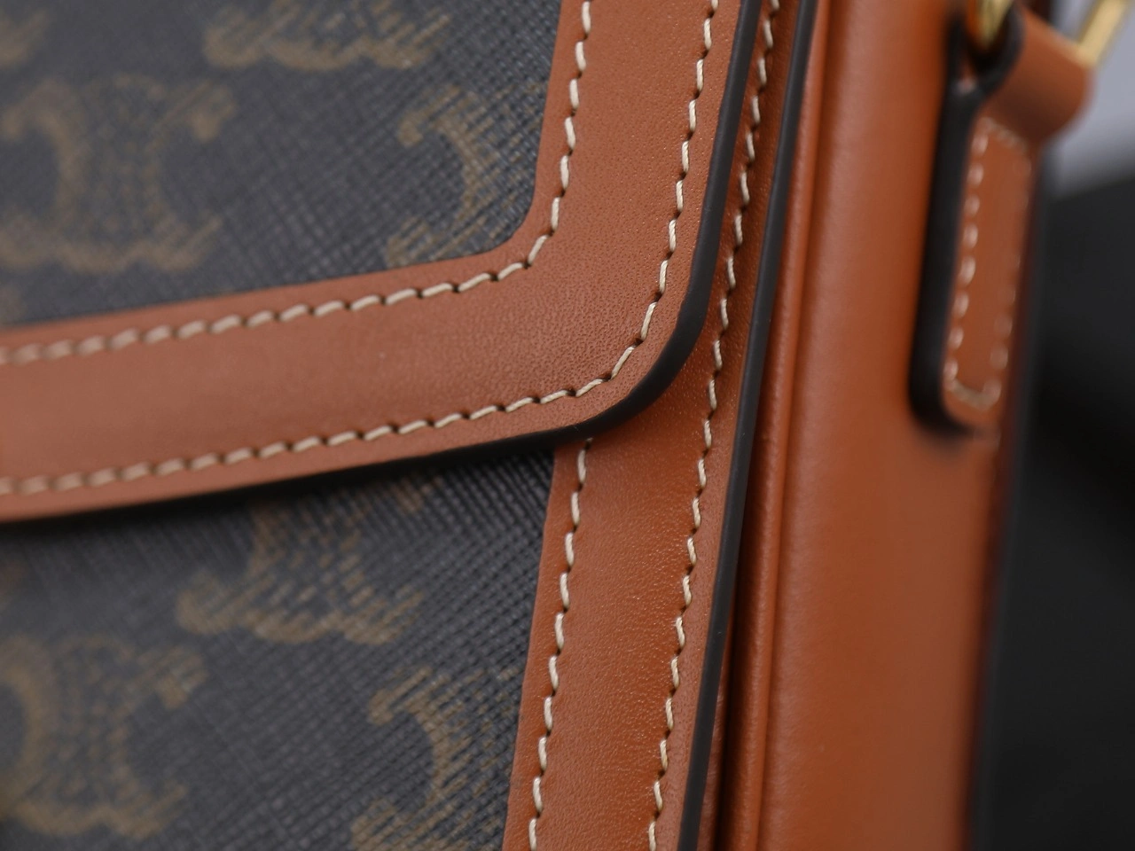 Top match Celine Triomphe Bags