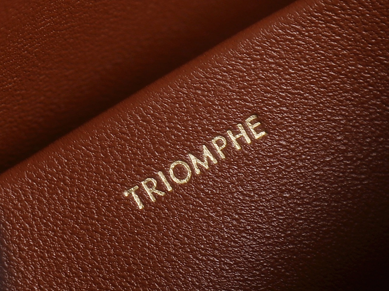 Top match Celine Triomphe Bags
