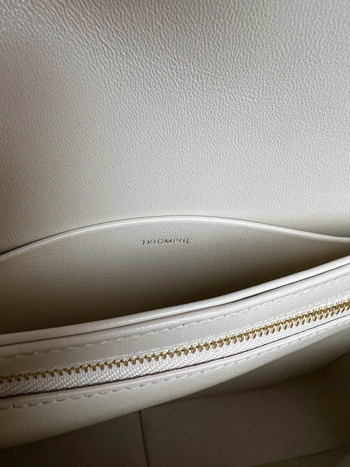 Discounted Celine Triomphe Bags
