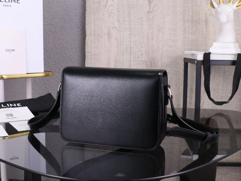 Value-priced Celine Triomphe Bags
