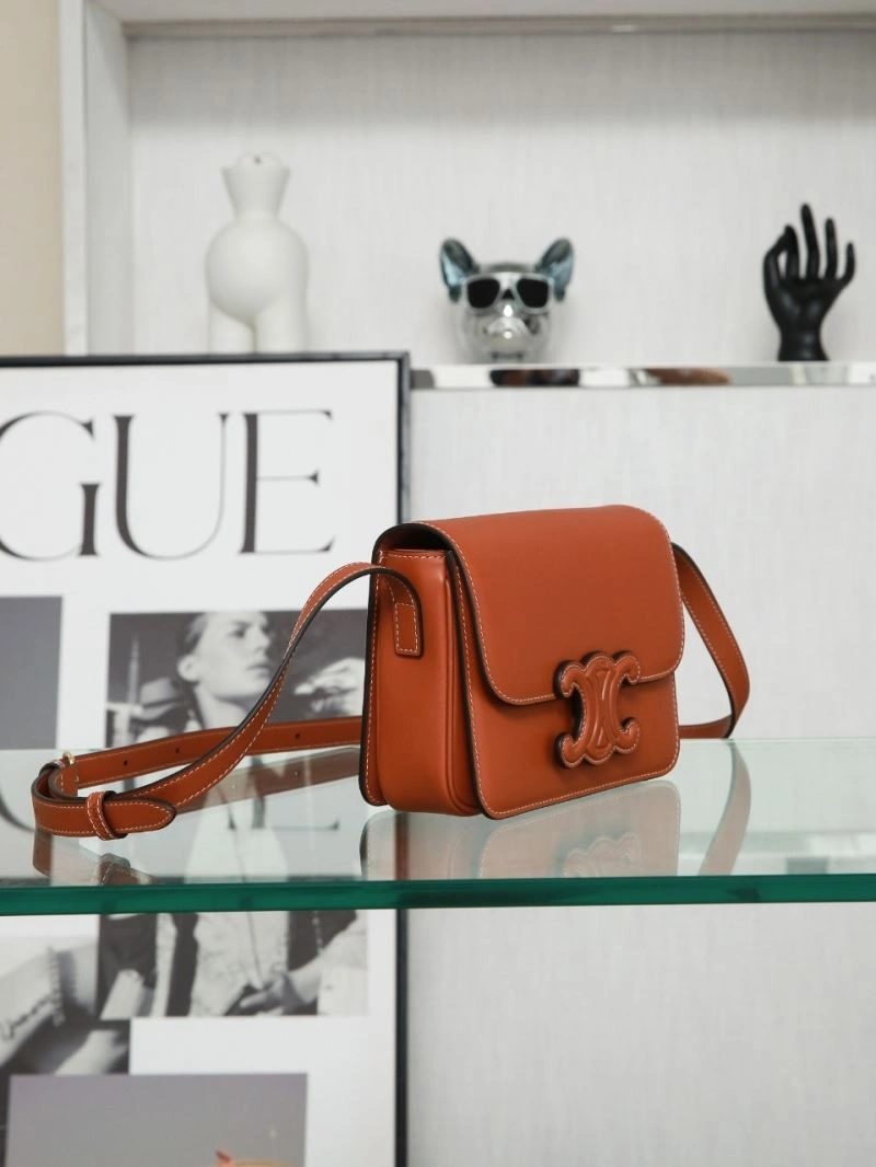 Reasonably priced Celine Triomphe Bags