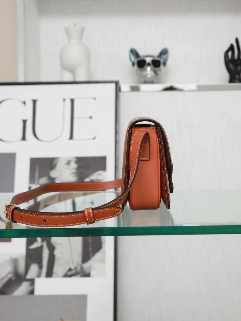 Reasonably priced Celine Triomphe Bags