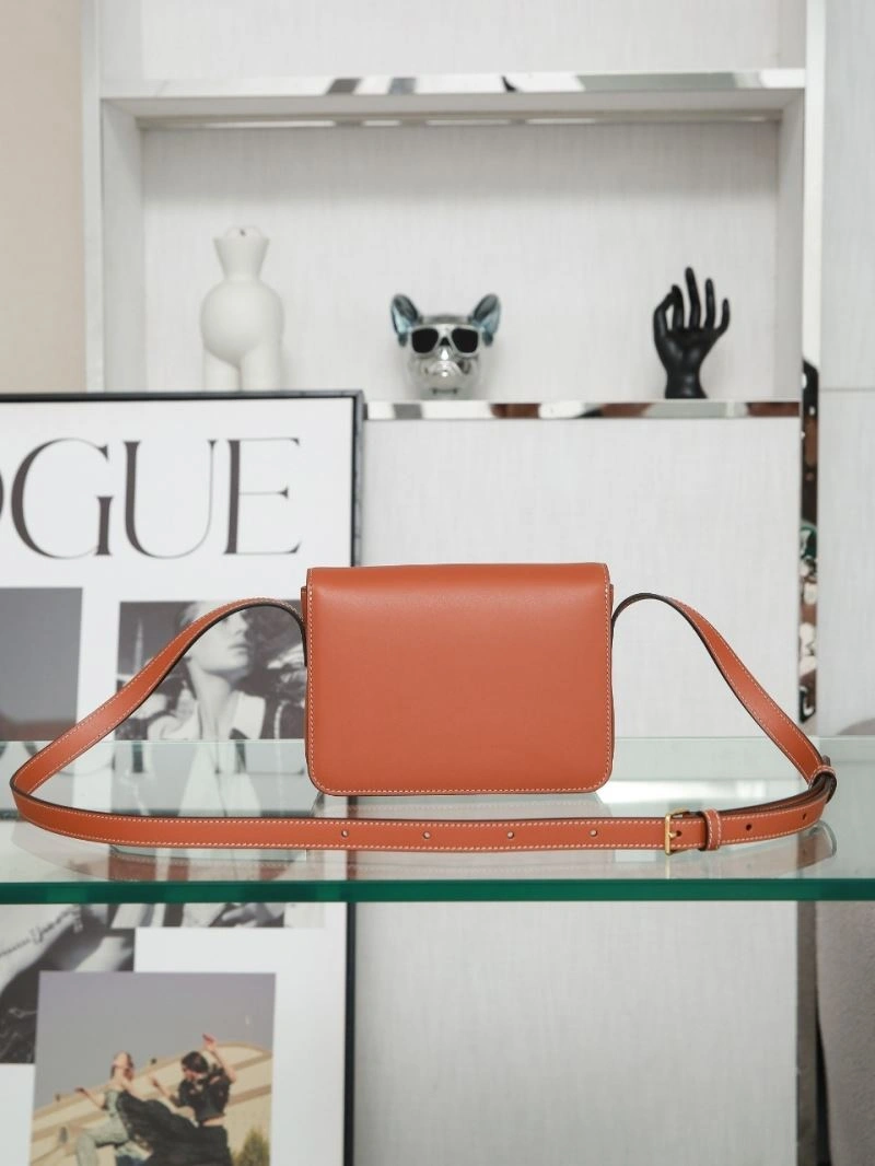 Reasonably priced Celine Triomphe Bags