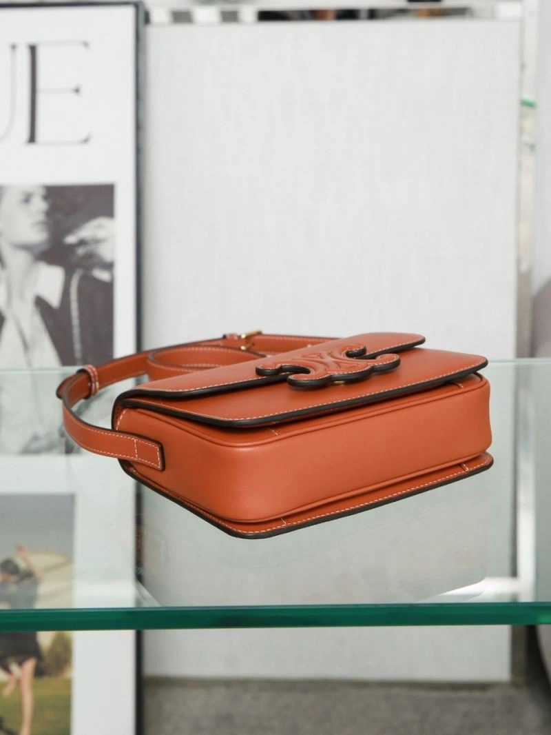 Reasonably priced Celine Triomphe Bags