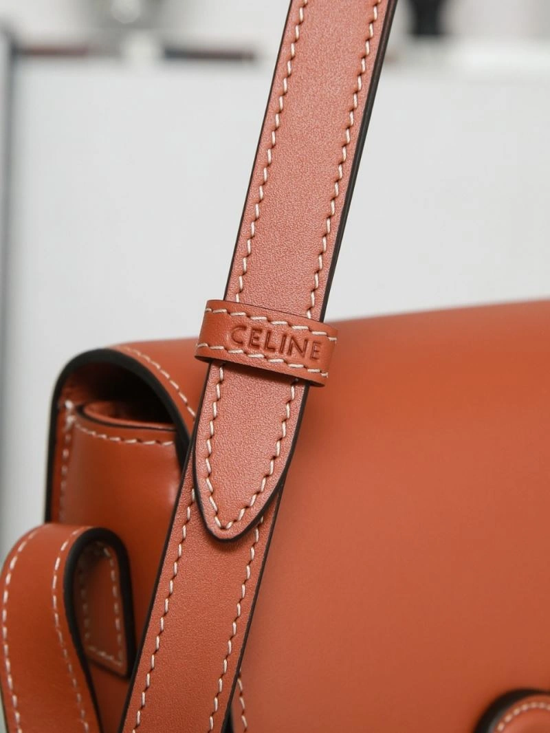 Reasonably priced Celine Triomphe Bags