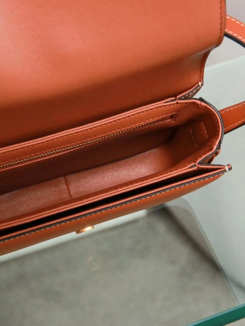 Reasonably priced Celine Triomphe Bags