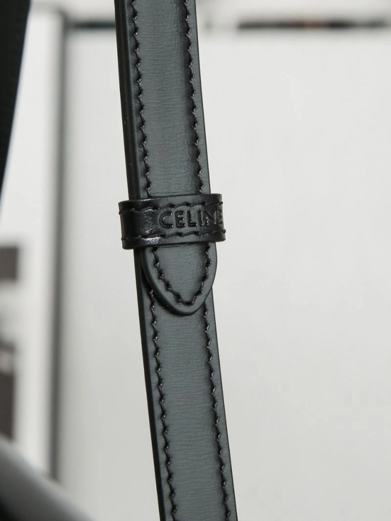 Accurate model Celine Triomphe Bags