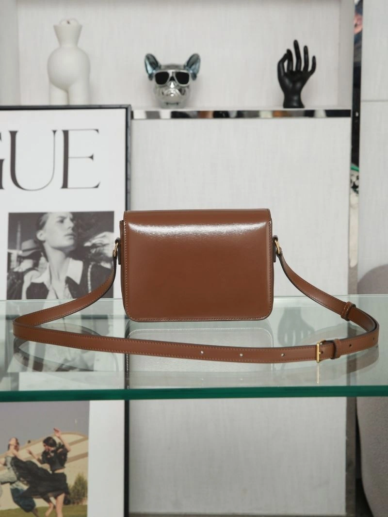 Discounted Celine Triomphe Bags