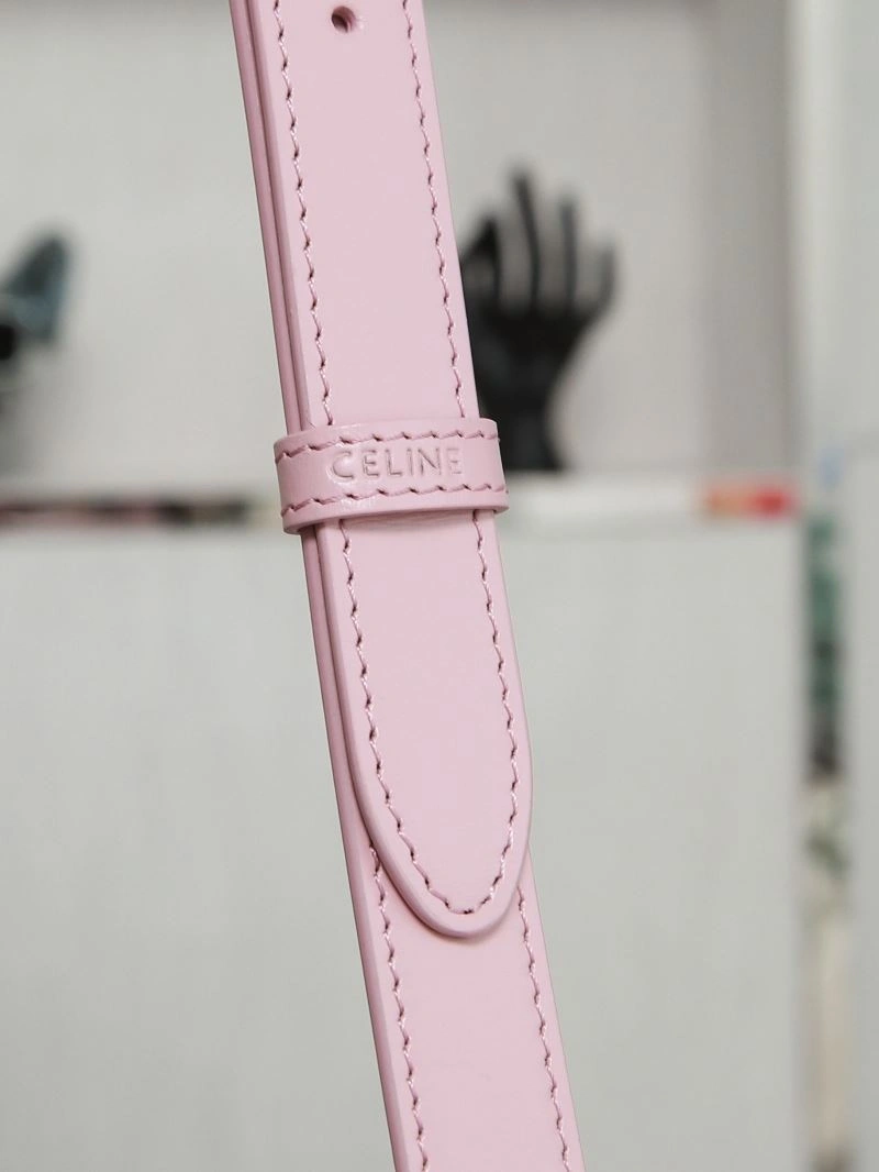 Top match Celine Triomphe Bags