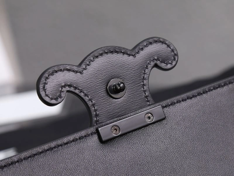 1:1 copy Celine Triomphe Bags