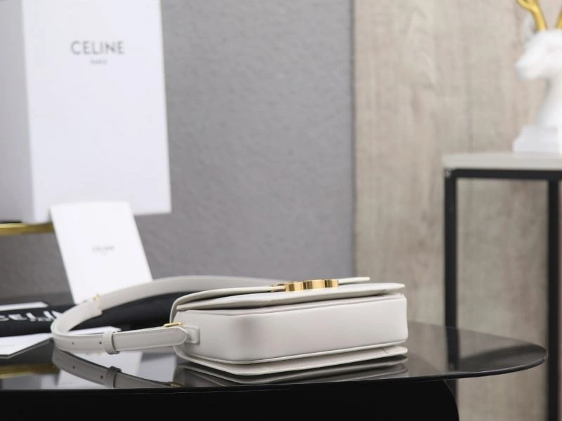 Reasonably priced Celine Triomphe Bags