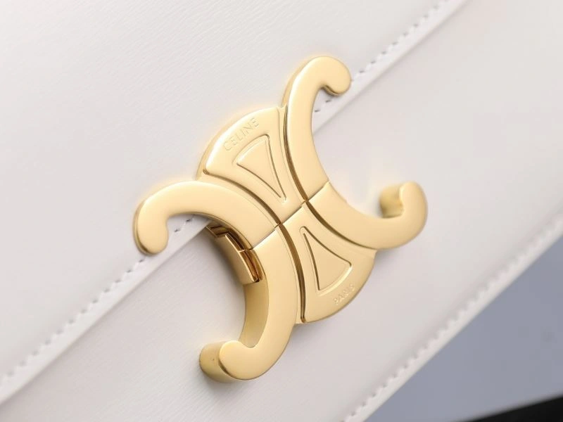 Reasonably priced Celine Triomphe Bags