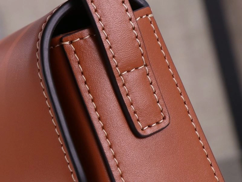 High accuracy Celine Triomphe Bags