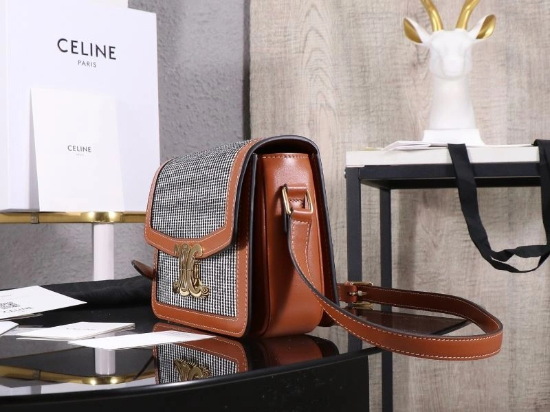 Top mirror Celine Triomphe Bags