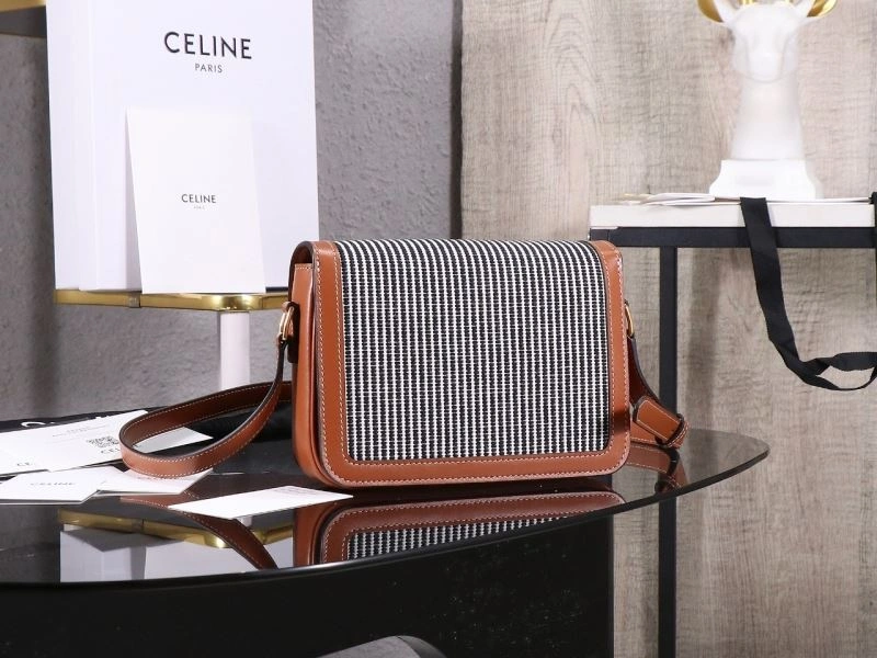 Top mirror Celine Triomphe Bags