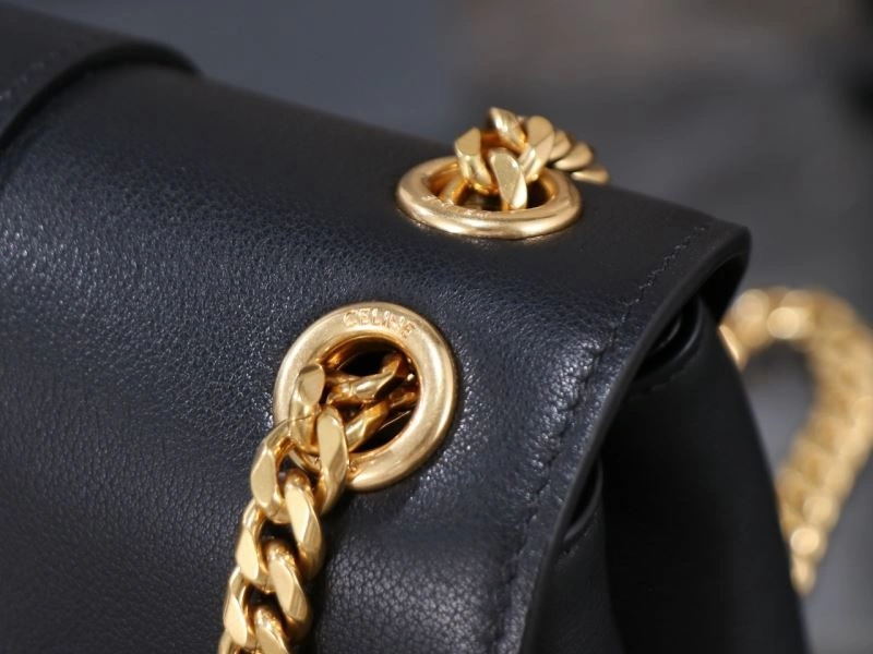 Reasonably priced Celine Triomphe Bags