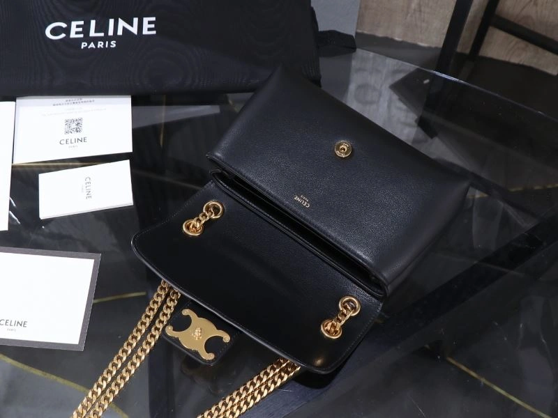 Reasonably priced Celine Triomphe Bags