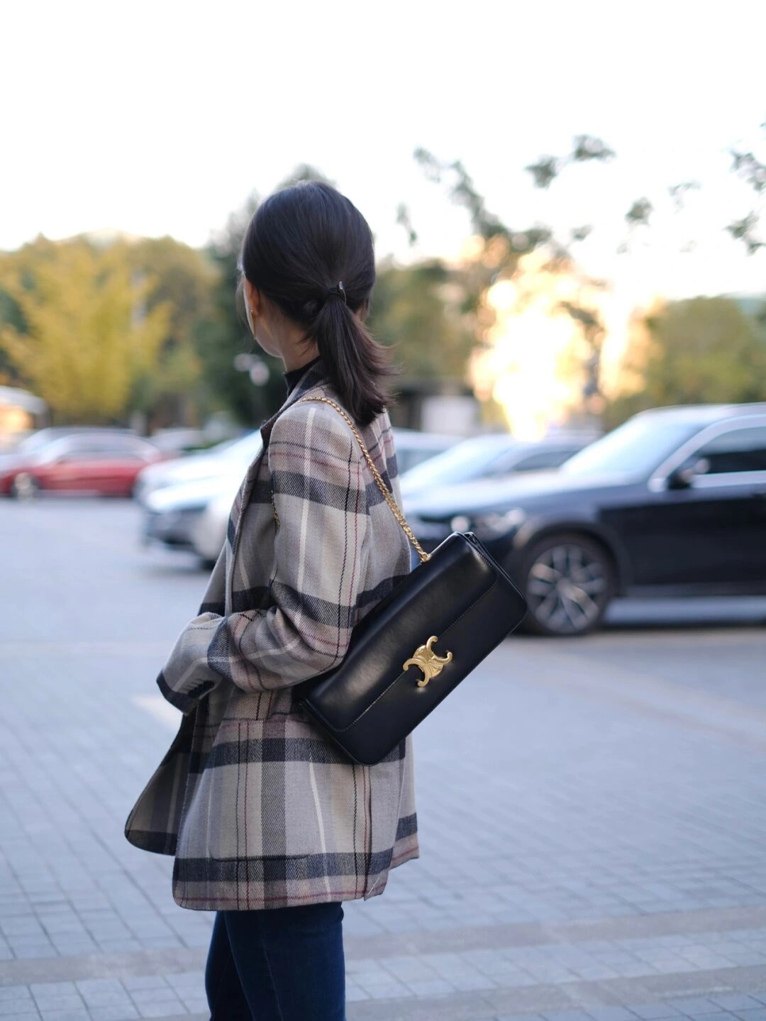 Affordable Celine Triomphe Bags