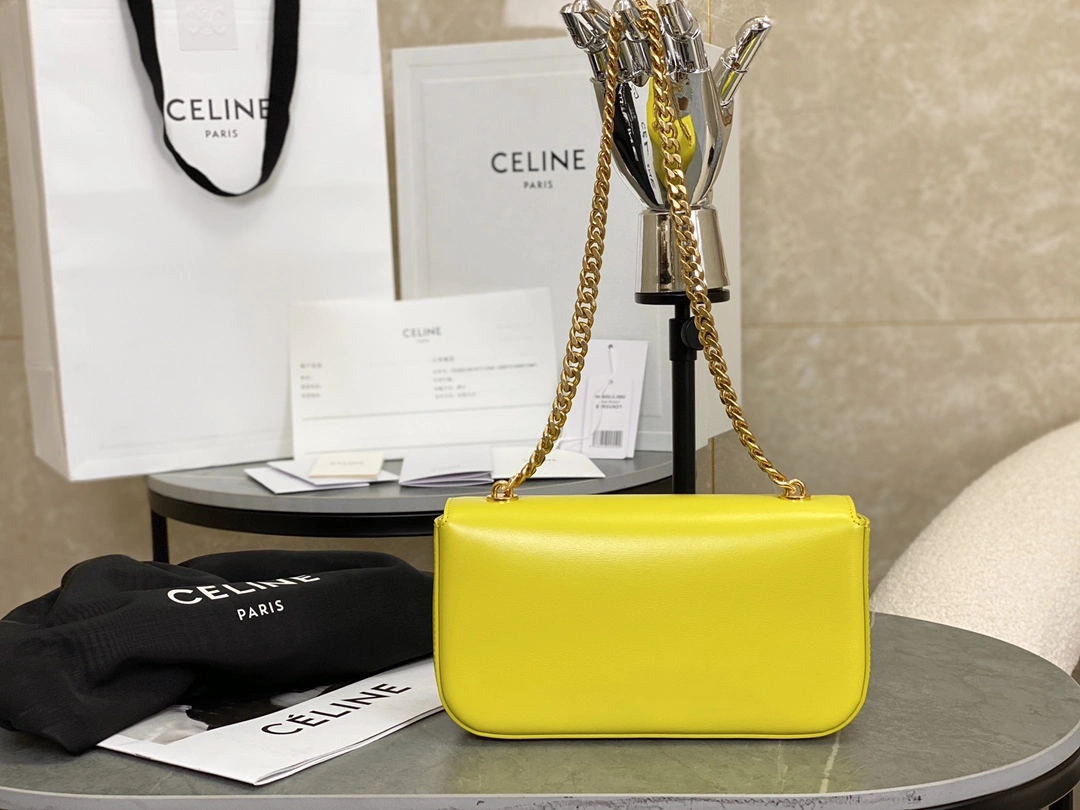 Top mirror Celine Triomphe Bags