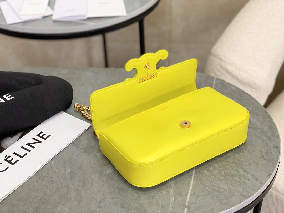 Top mirror Celine Triomphe Bags