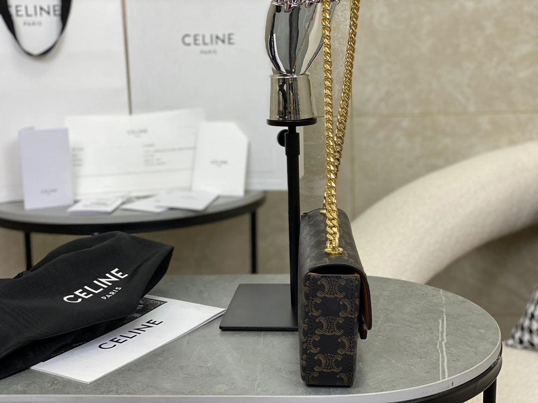 Inexpensive Celine Triomphe Bags