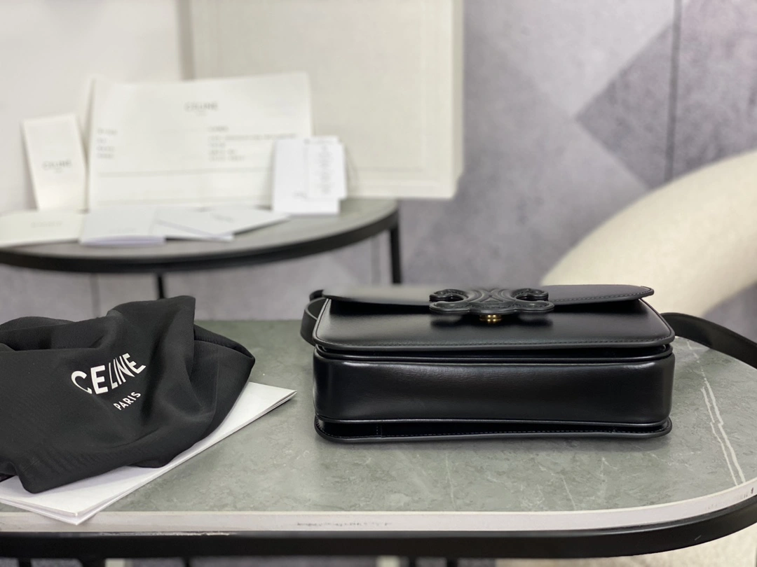 Legit Celine Triomphe Bags