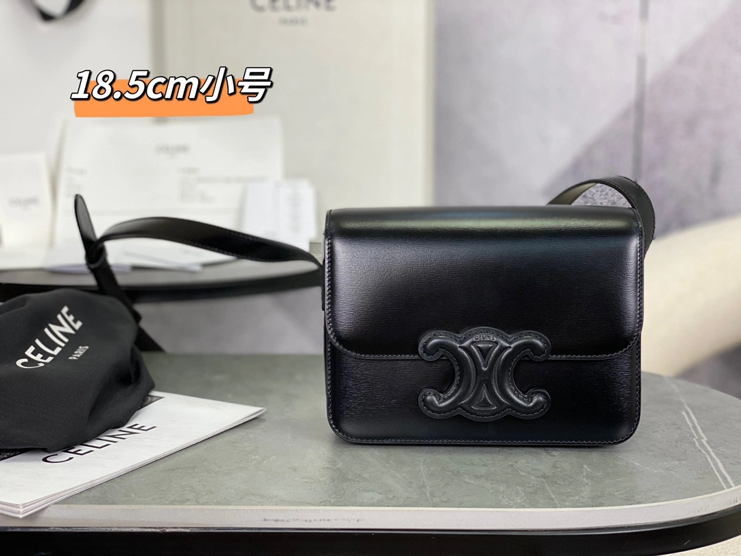 Celine Triomphe Bags