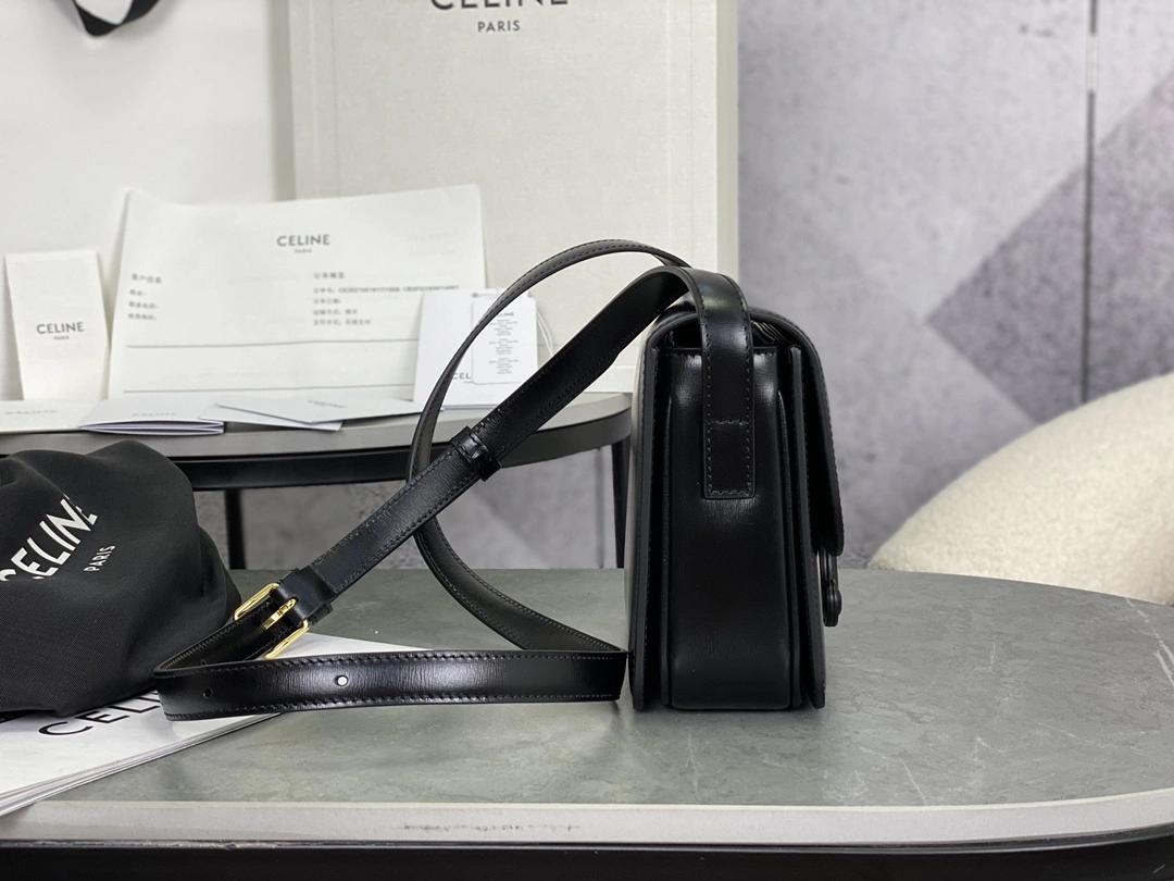 Official Celine Triomphe Bags