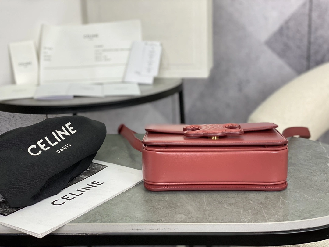 Top mirror Celine Triomphe Bags