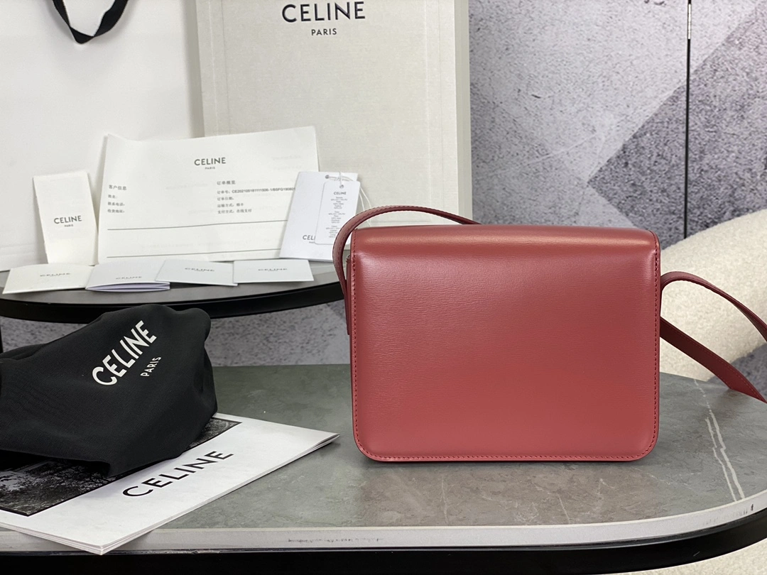 Top mirror Celine Triomphe Bags