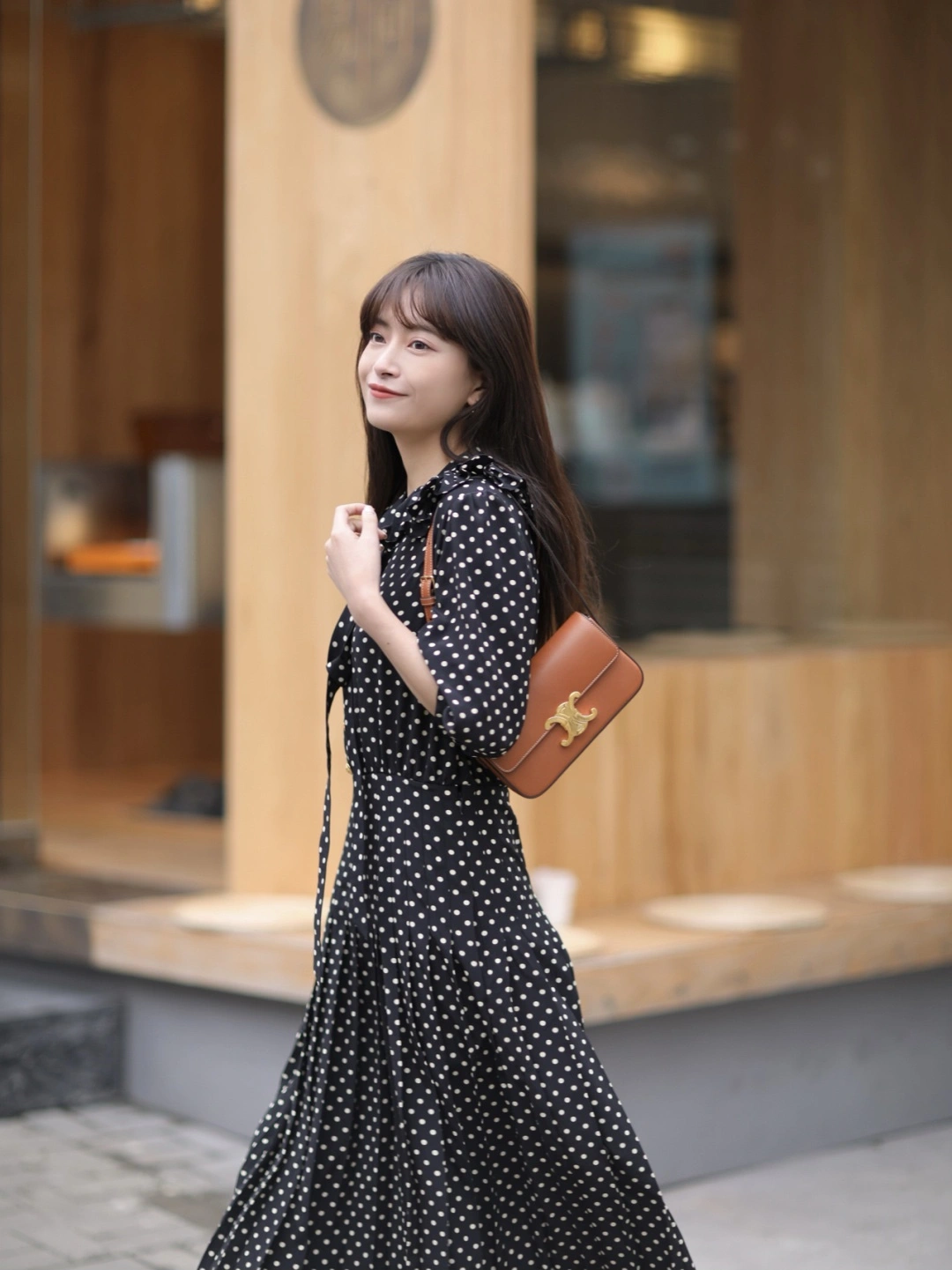 Bargain Celine Triomphe Bags